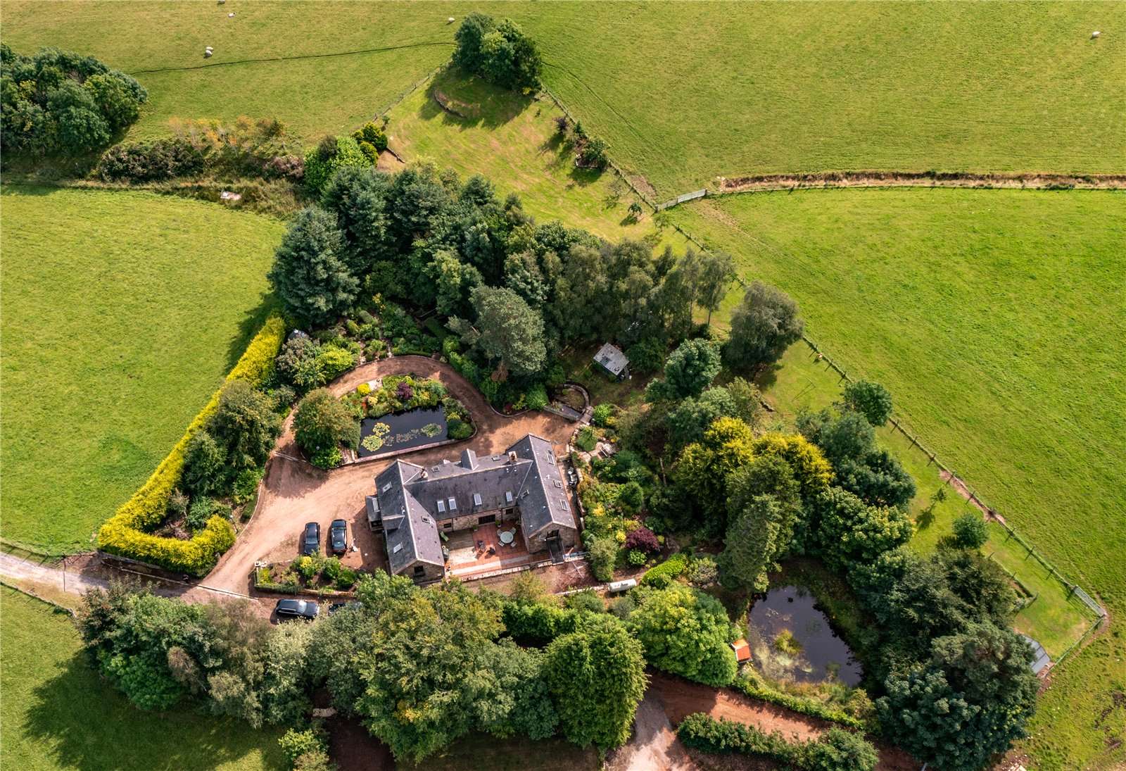 Treehouse Flooring Midmar | Floor Roma