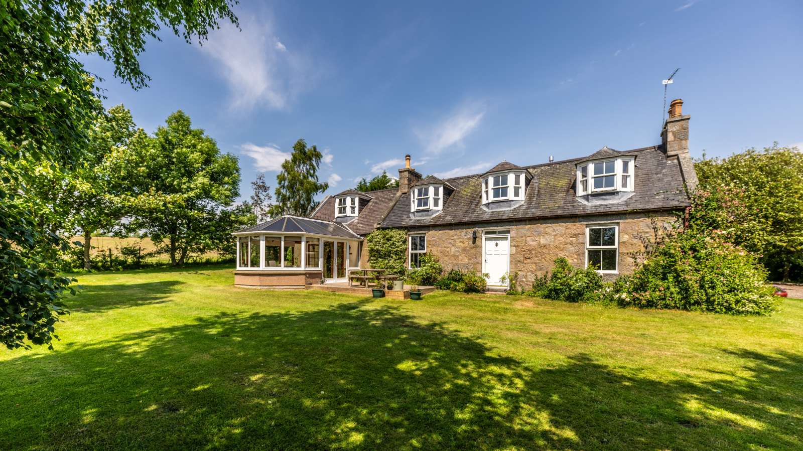 Treehouse Flooring Midmar | Floor Roma