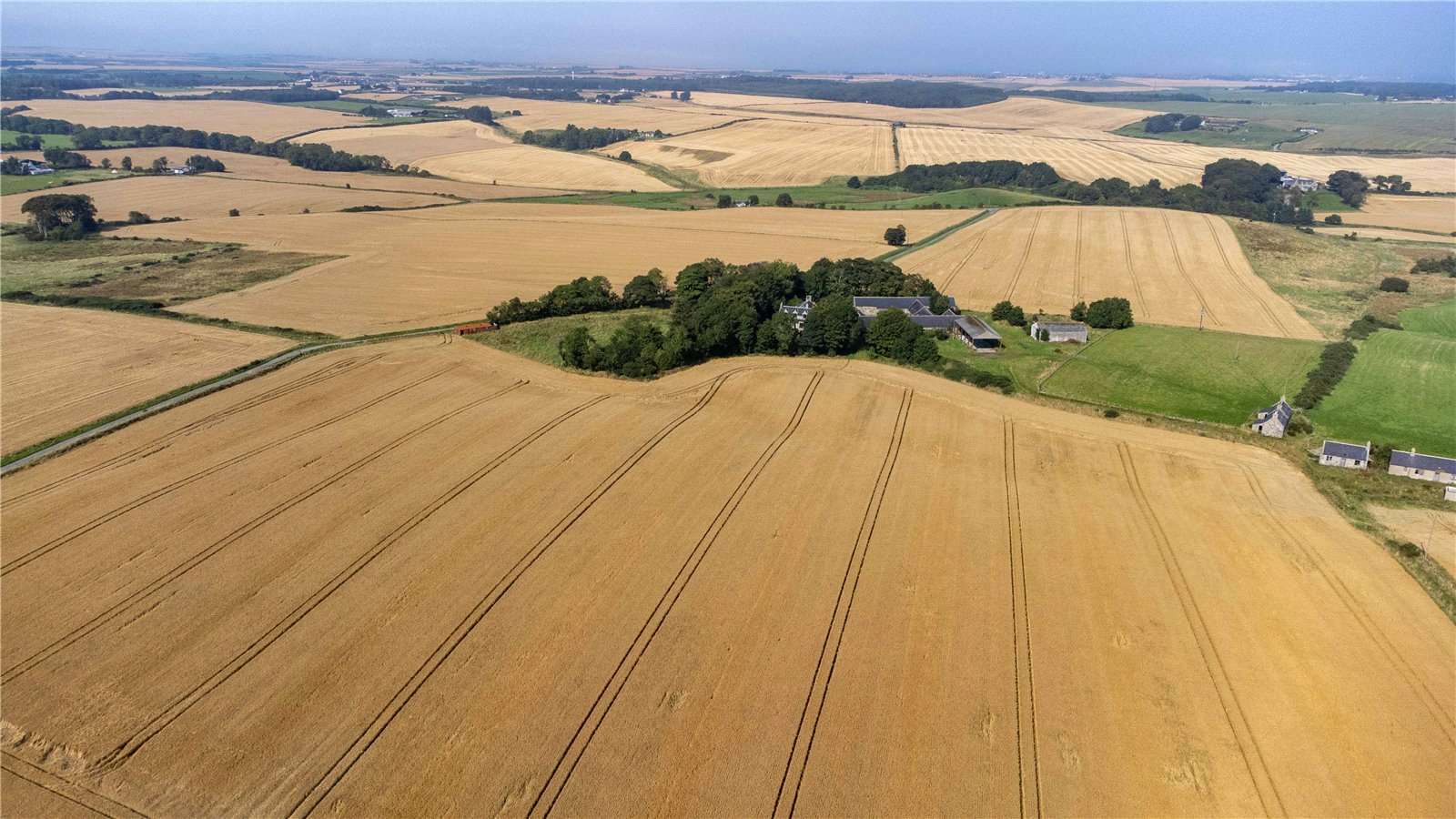 Arable farms for sale in UK | Savills
