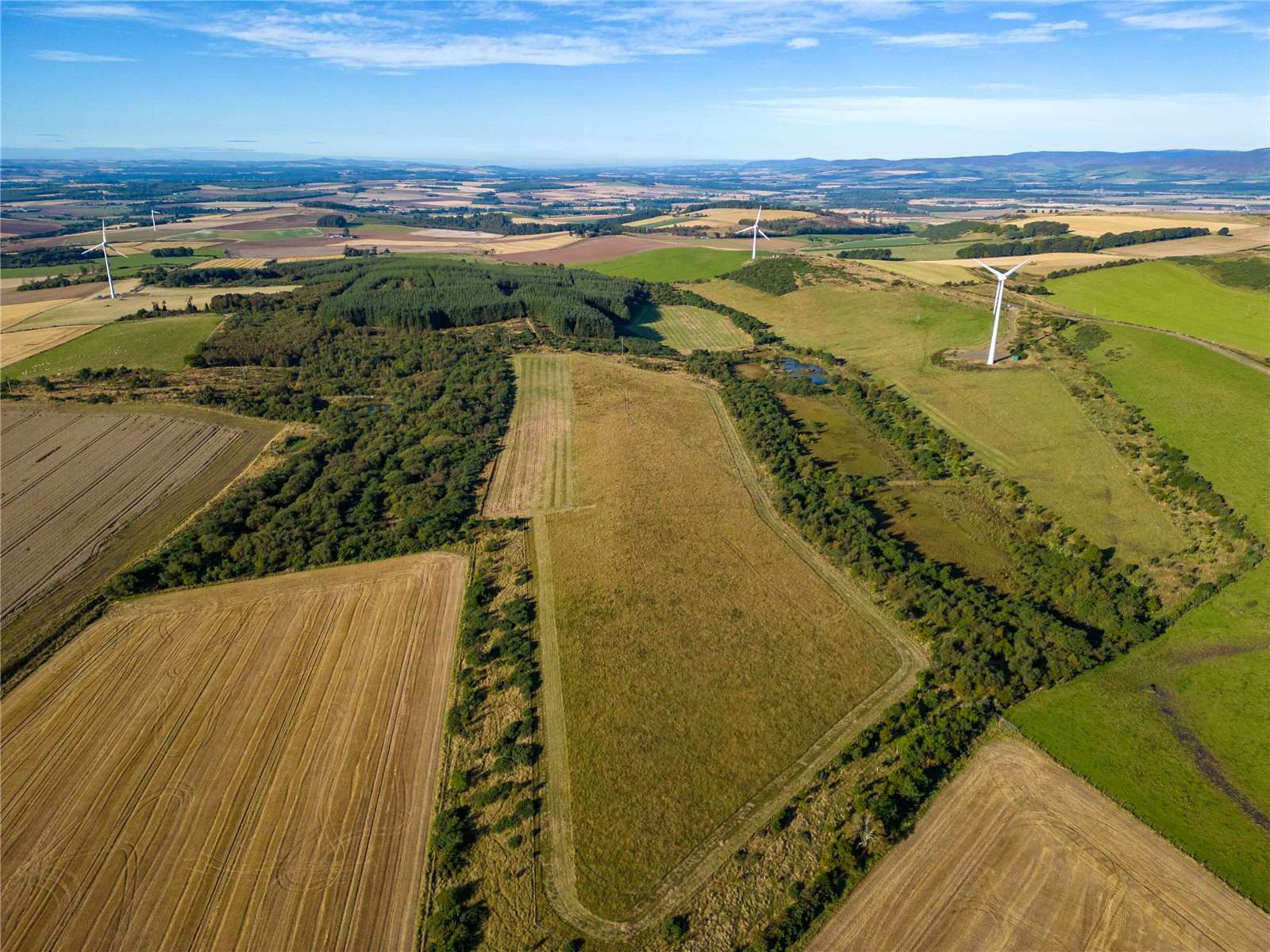 Farms for sale in Scotland | Savills