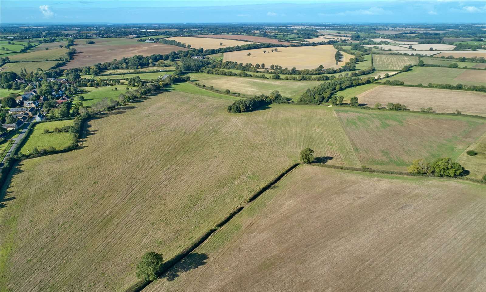 Savills | Arable farms for sale in UK