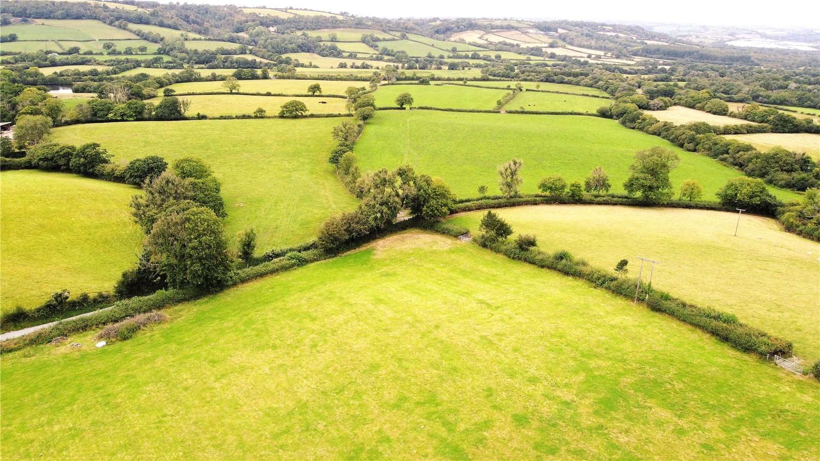 Farms for sale in Wales | Savills