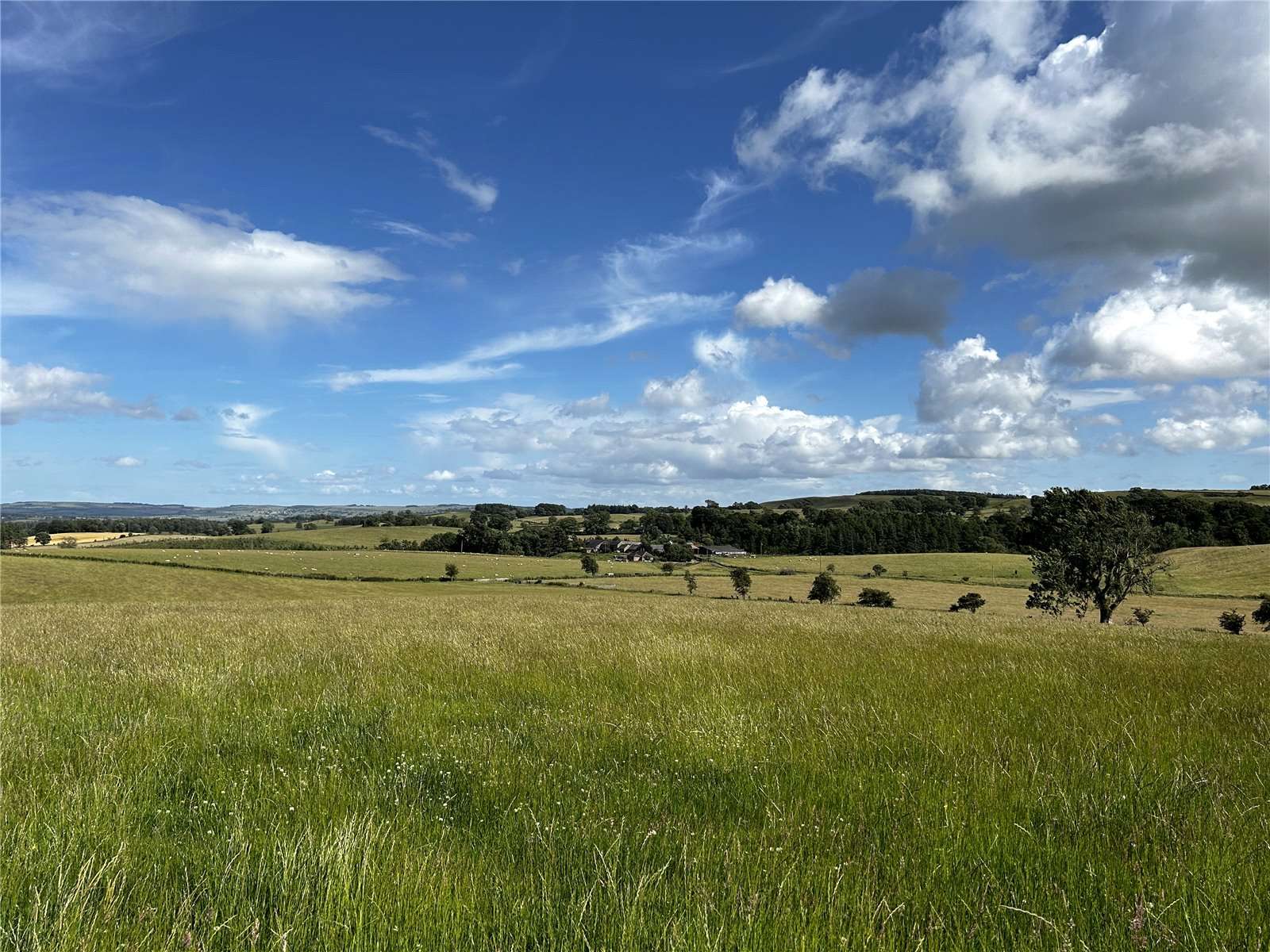 Tecket Farm, Simonburn, Hexham, Northumberland | Property to rent | Savills