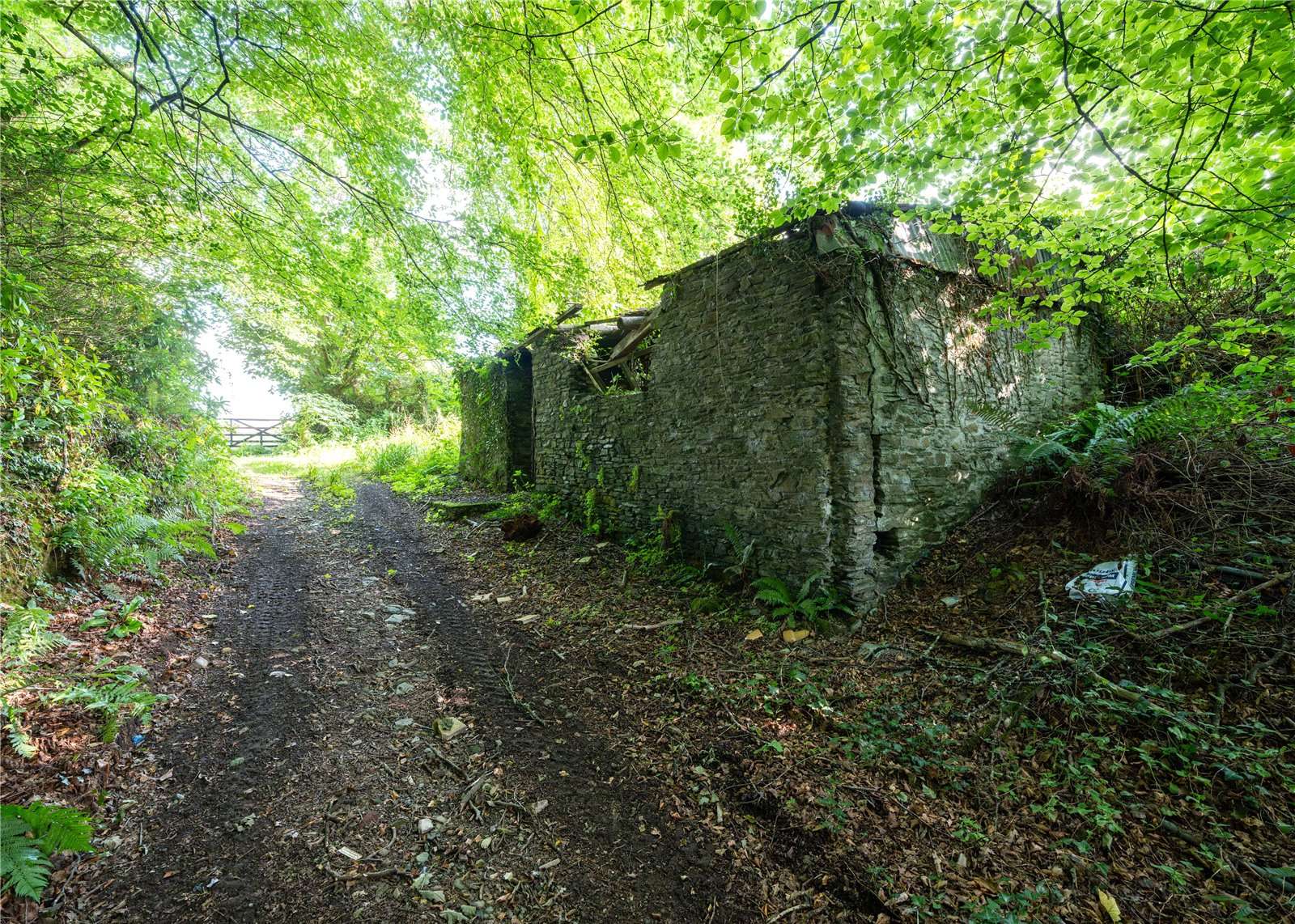 St. Martin, Looe, Cornwall, PL13 1NX | Property for sale | Savills