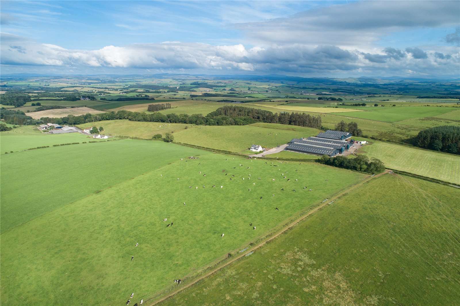 Livestock farms for sale in Scotland | Savills