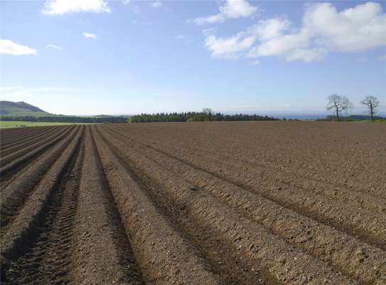 Farms for sale in Scotland | Savills