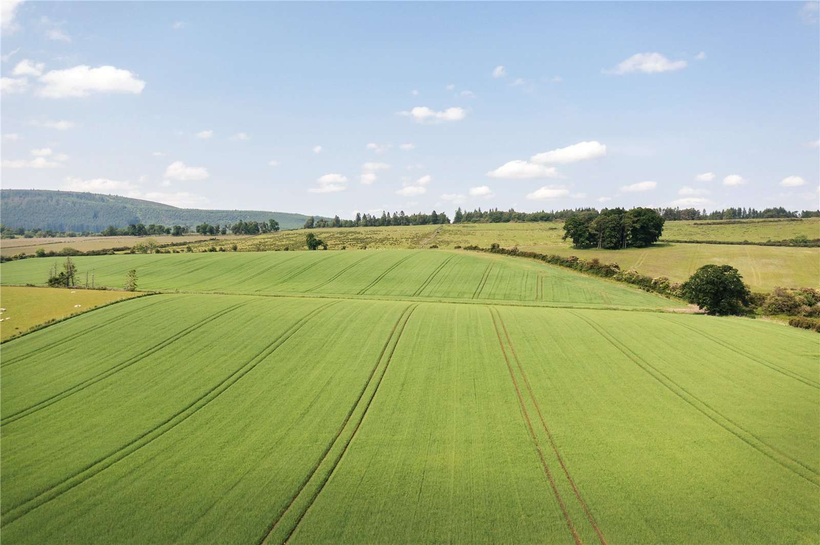 Land At Wester Lennieston, Thornhill, Stirling, Stirlingshire, FK8 3QP ...