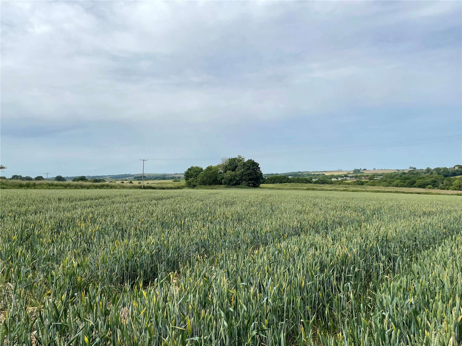 Property for sale in North Tawton, Devon | Savills