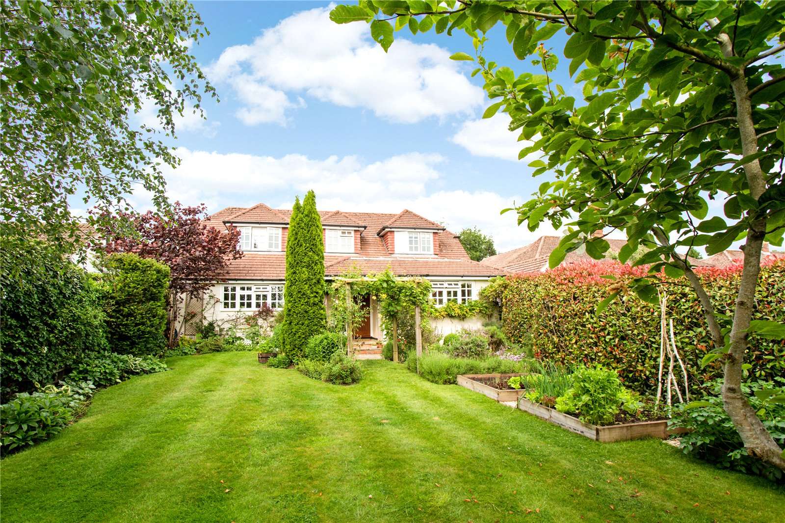 Savills | Property for sale in Hawkley, Hampshire