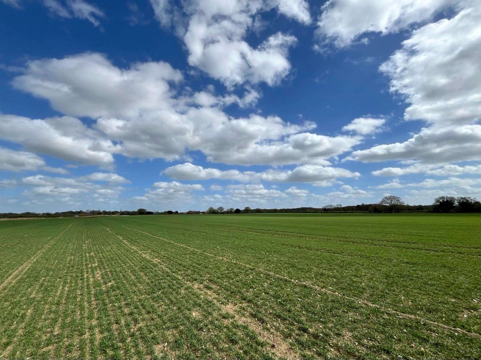 Farms for sale in Norfolk, England | Savills