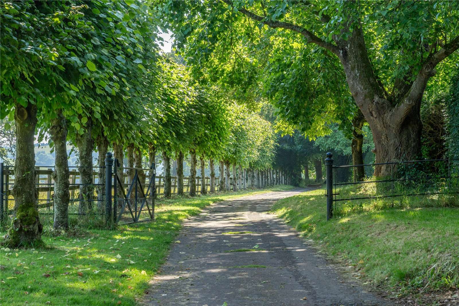 Harptree Court | Grade II Listed Georgian Country House in Somerset ...