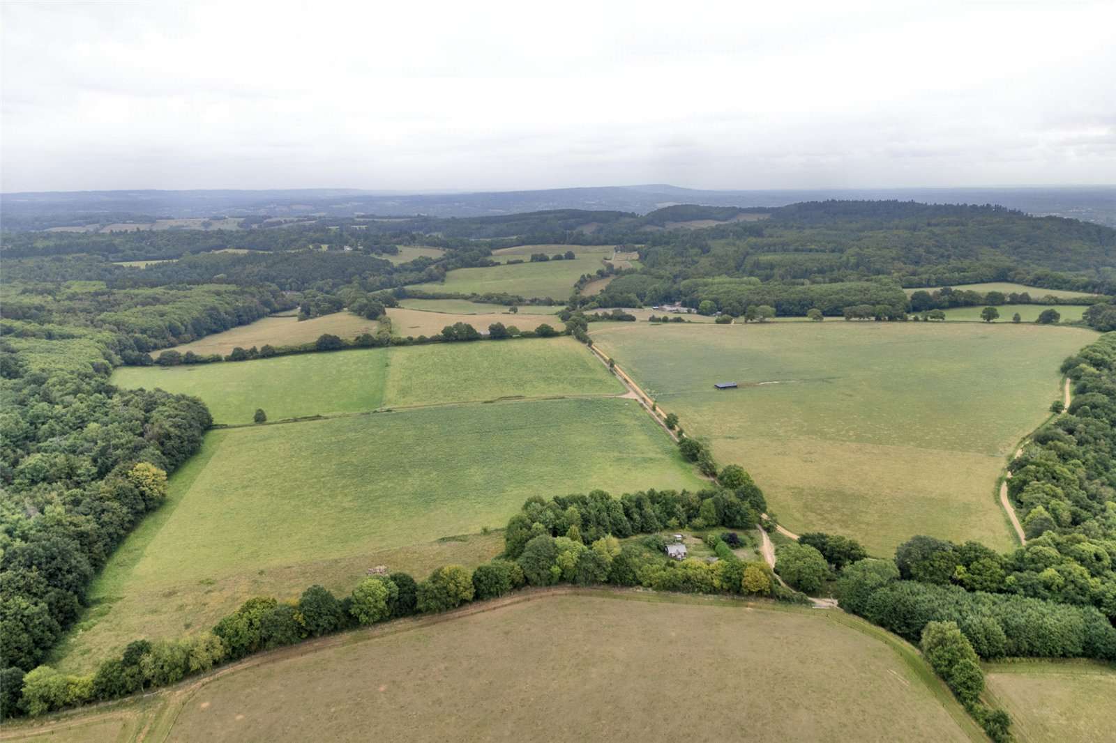 Hascombe, Surrey, GU8 4UD | Property to rent | Savills