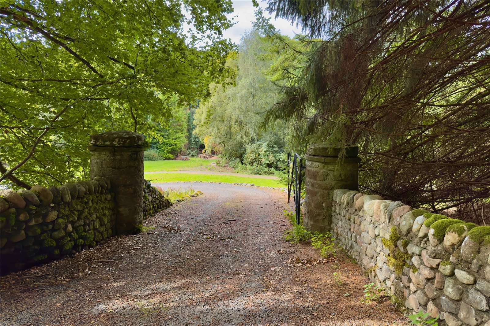Building plots for sale in Kintocher, Perth & Kinross | Savills