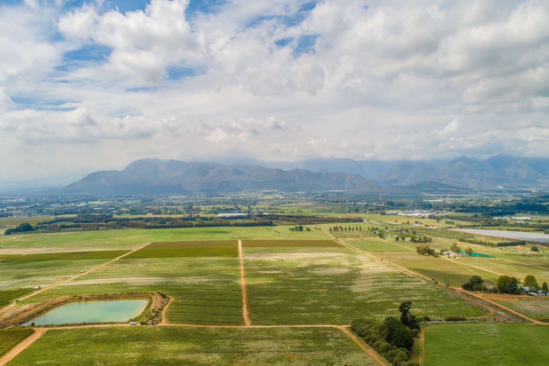 Farms for sale in Western Cape, South Africa | Savills