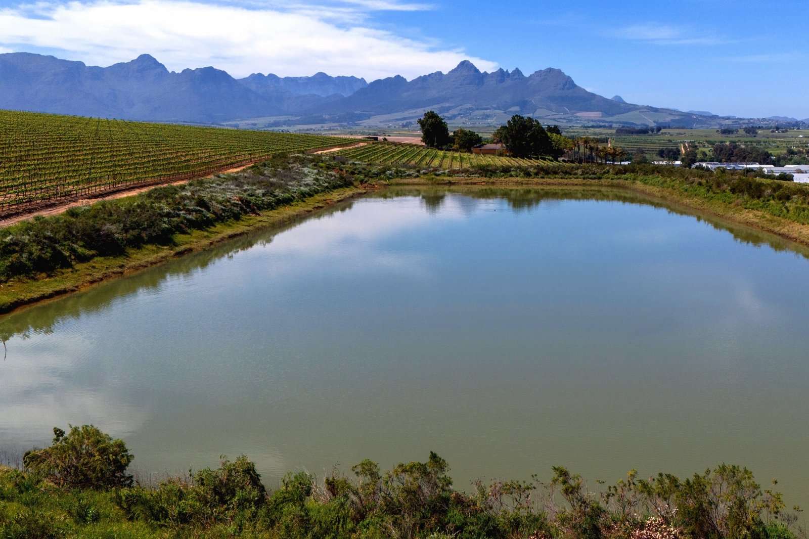 Stellenbosch Wine Farm, Vlaeberg Road, Stellenbosch, Western Cape, 7600 ...