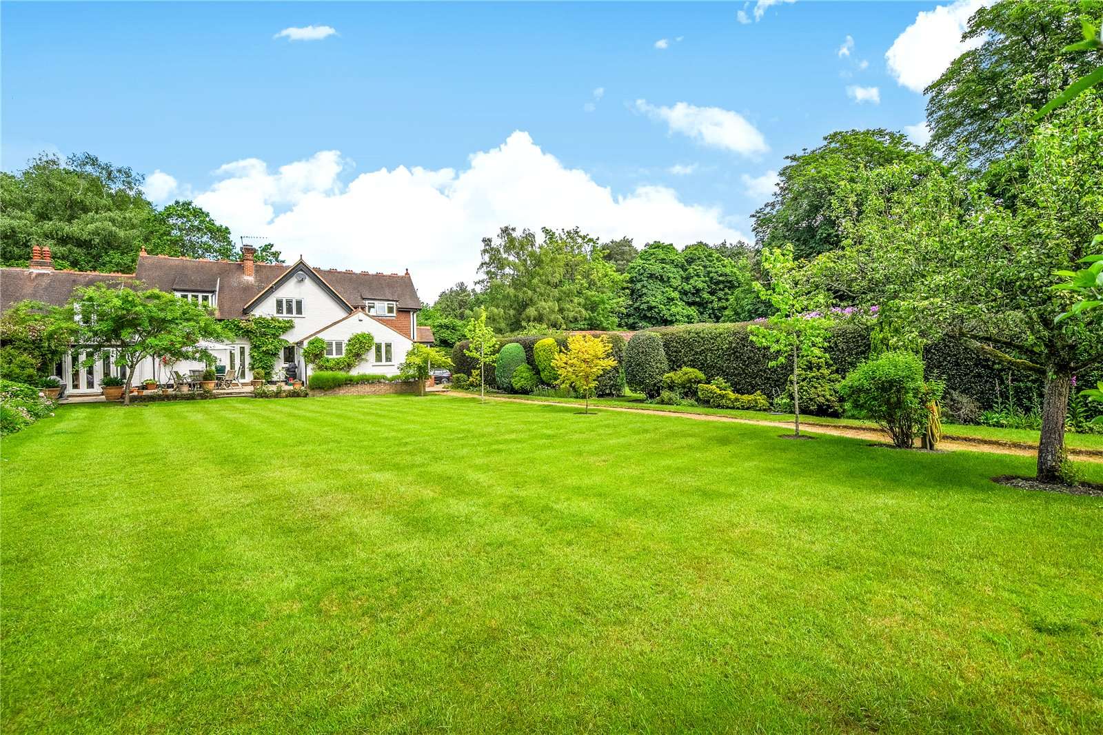 College Ride, Bagshot, Surrey, GU19 5EP | Property for sale | Savills