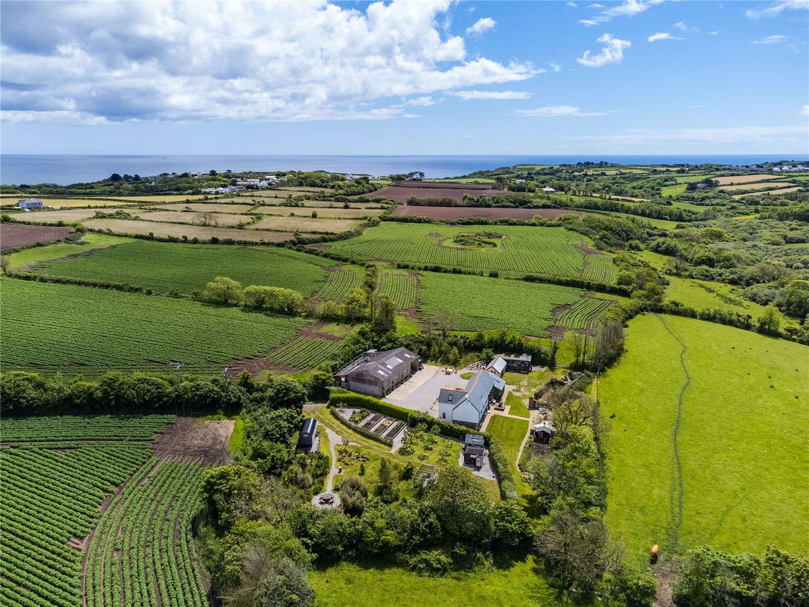 Houses for sale in Cornwall, England | Savills