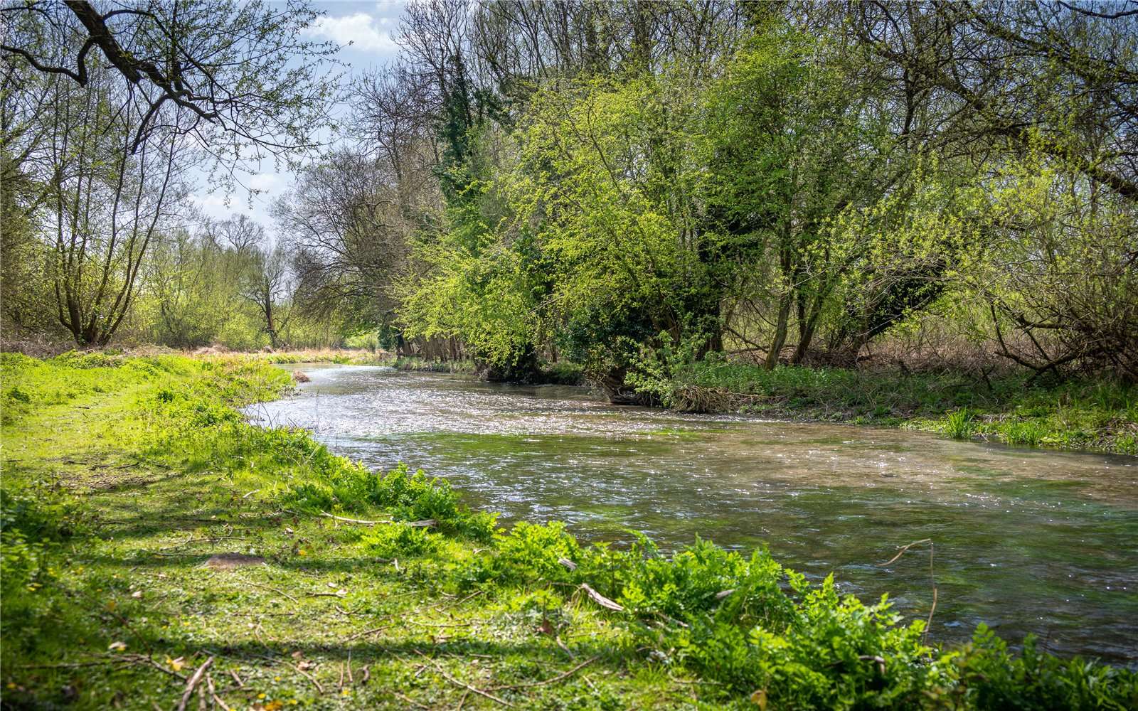 Property for sale in Shalbourne, Wiltshire | Savills
