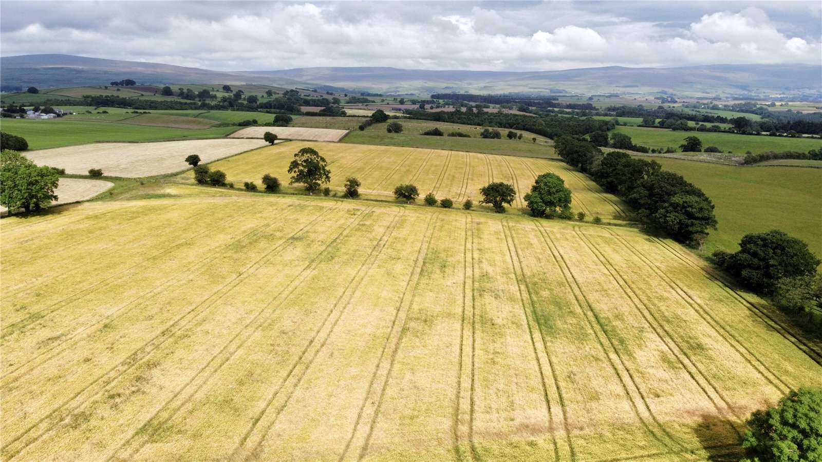 Property for sale in Staffield, Cumbria | Savills