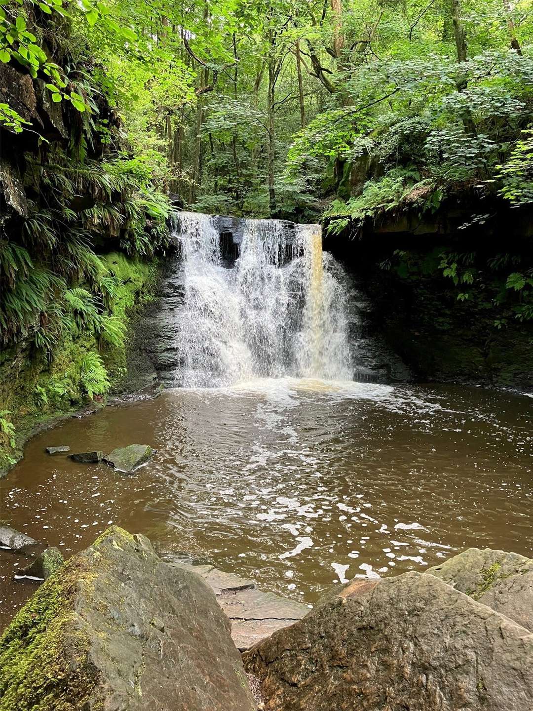 Farms for sale in Yorkshire, England | Savills