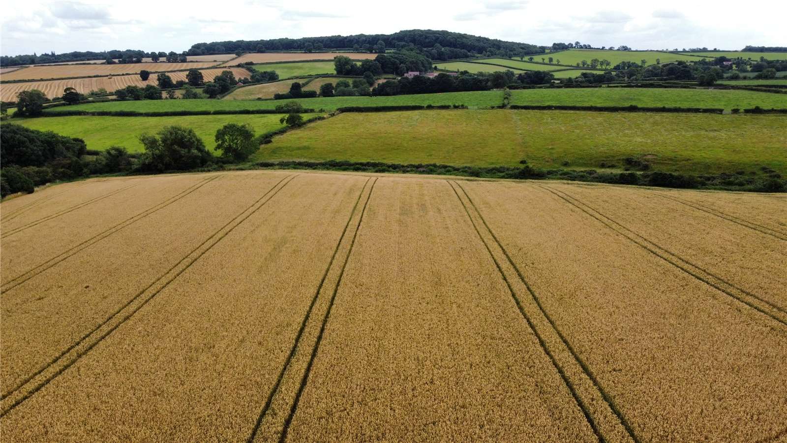 Arable farms for sale in UK | Savills