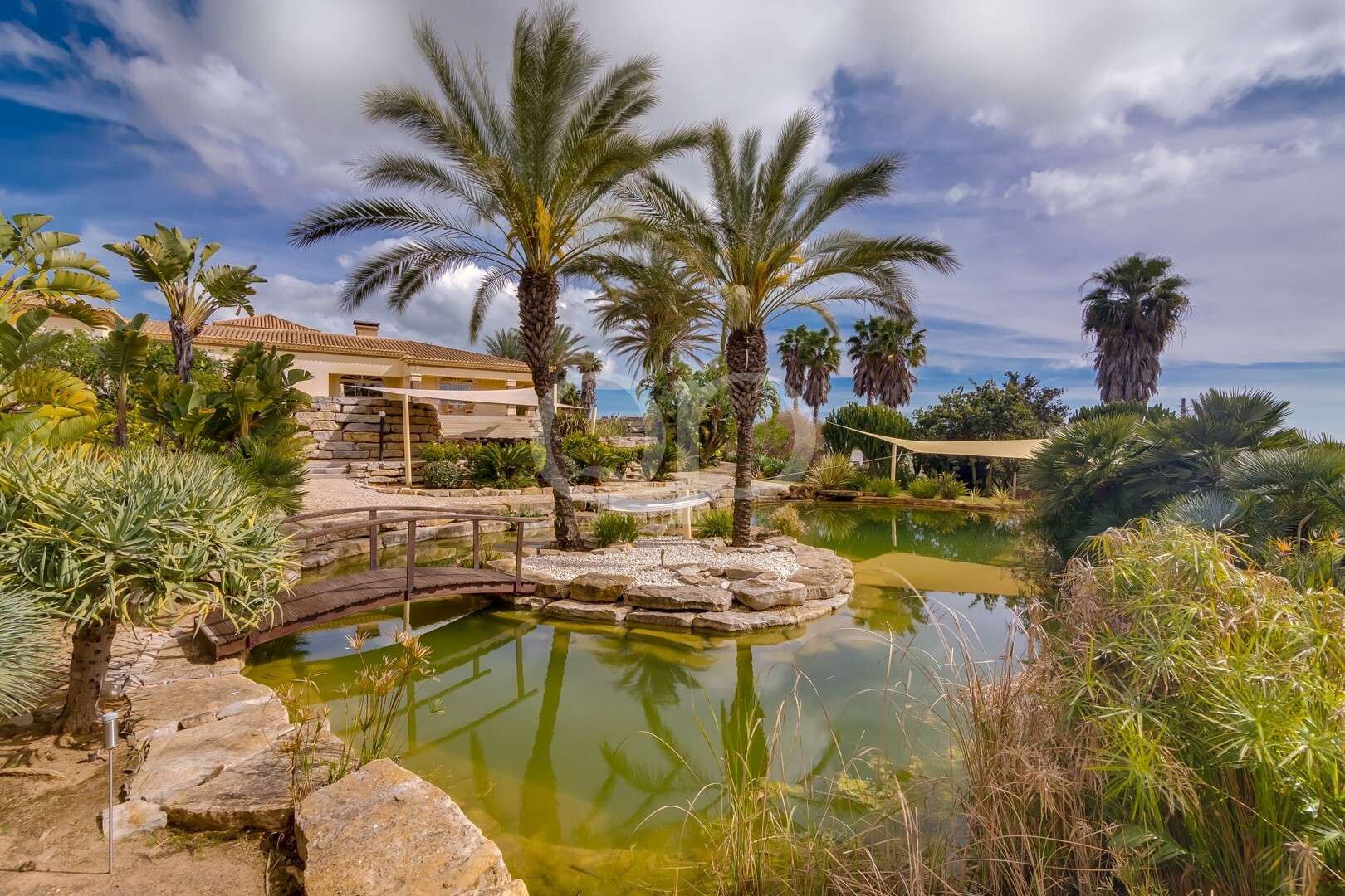 Central Algarve | Property for sale | Savills