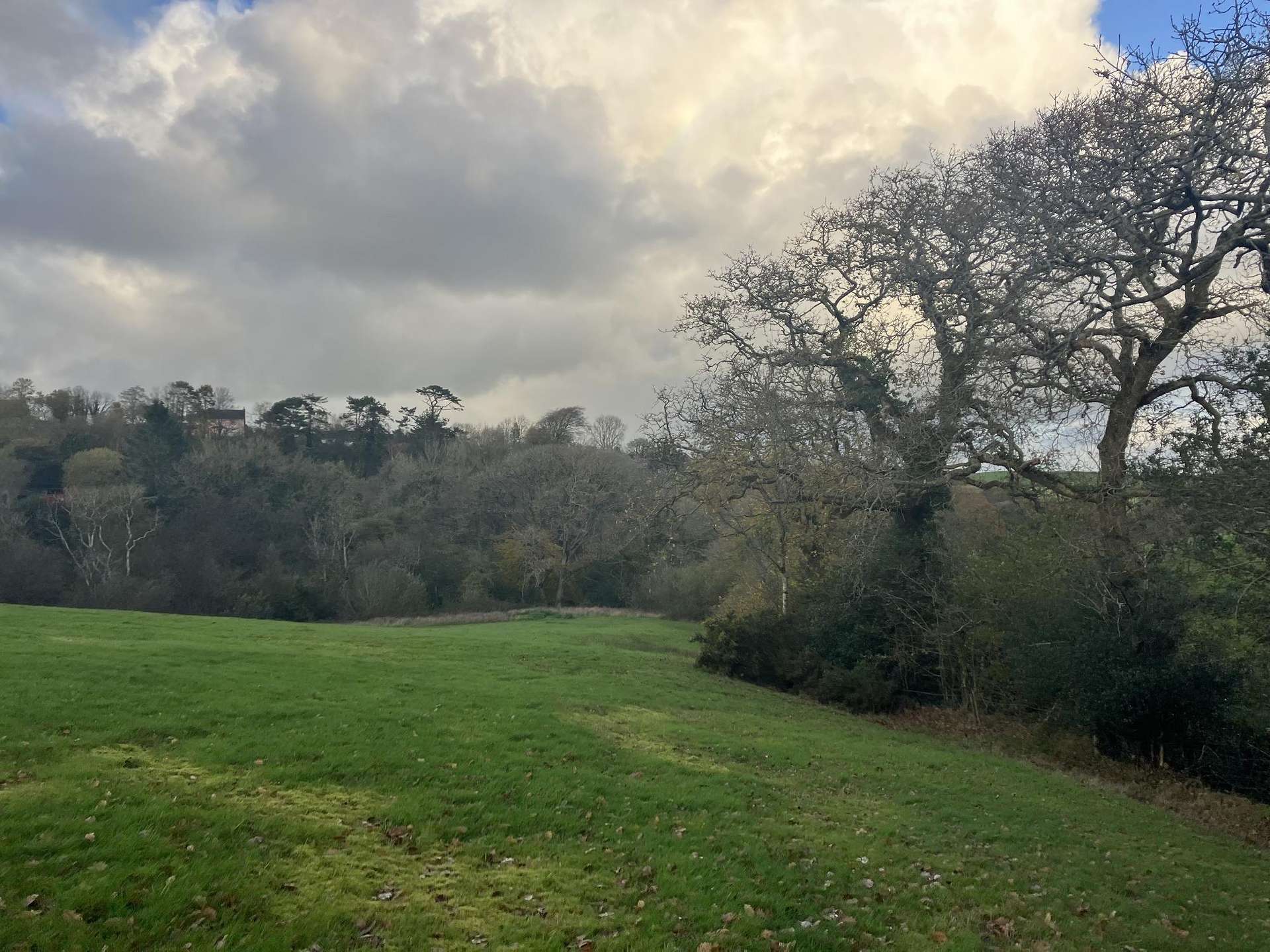 Property to rent in Trewen, Cornwall | Savills